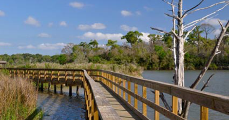 Defensive Driving Bay Area Texas