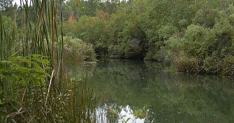 Defensive Driving Goodrich Texas