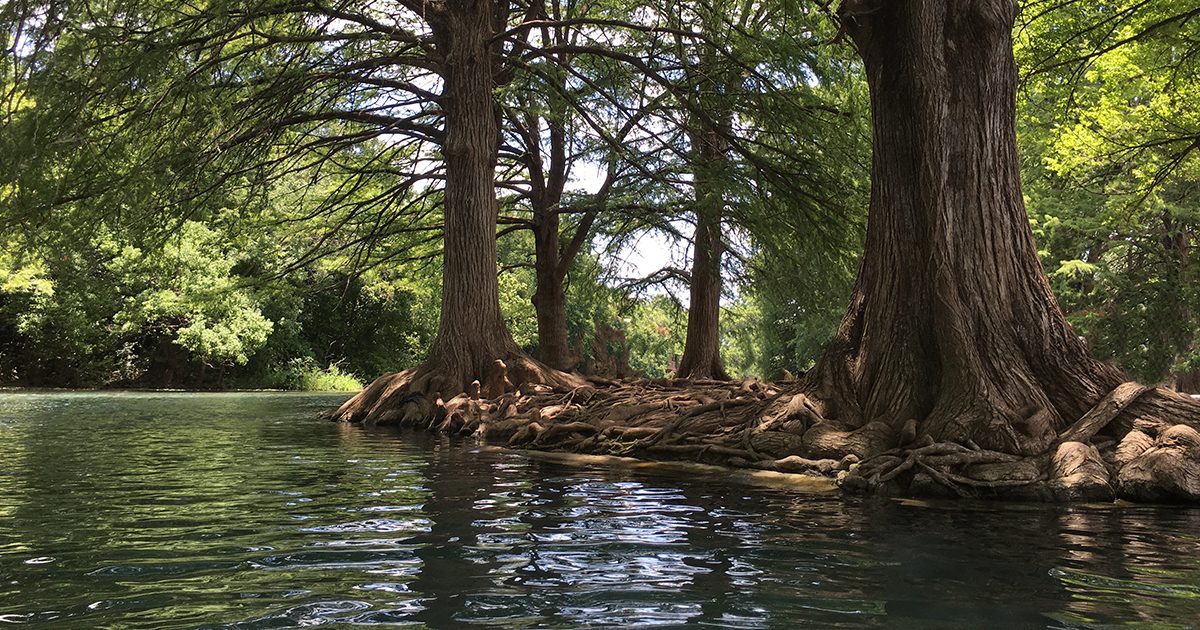 Defensive Driving San Marcos TX | Comedy Driving