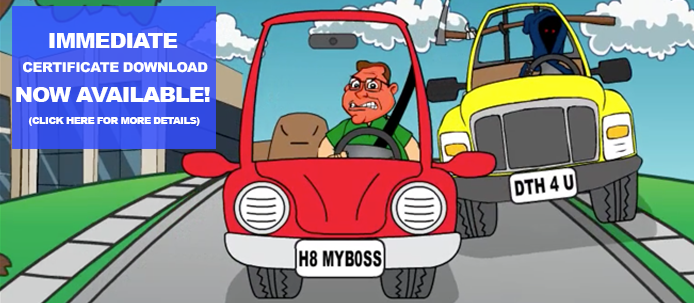 Comedy Driving 25 Texas Defensive Driving Online Course